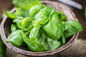 Lá Basil Là Gì? Cách Sử Dụng Basil Trong Nấu Ăn - AtlasGarden